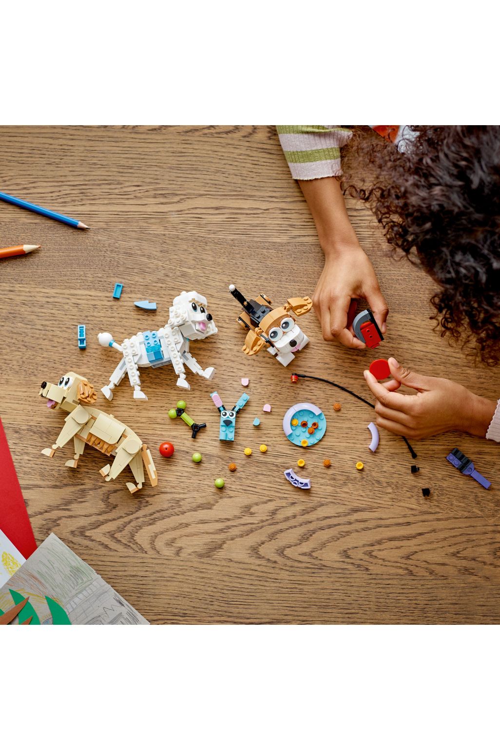 LEGO® Creator 3in1 Adorable Dogs - τουβλάκια